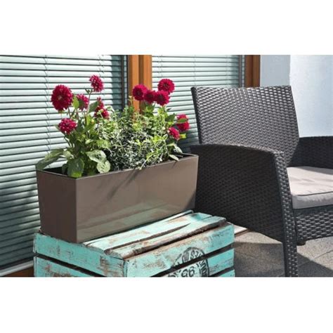 ყვავილის ქოთანი Lamela Begonia 19x56სმ Qotani