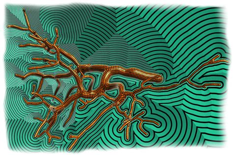 The Parameterization Of The Background Pixels In Dependence Of The Download Scientific Diagram