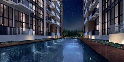 The Lilium How Sun How To Invest In Lilium Call 61002900new Launch