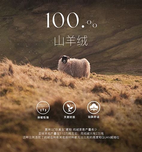 山羊绒 1 花瓣网