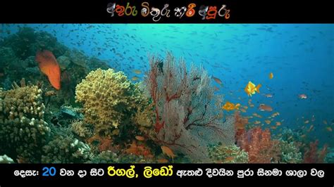 Athuru Mithuru Hari Apuru අතුරු මිතුරු හරි අපූරු Home Facebook