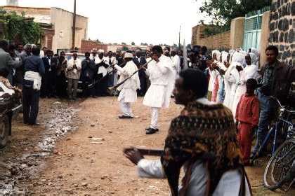 Eritrea Asters Picturebook Asmara And Ala Valley