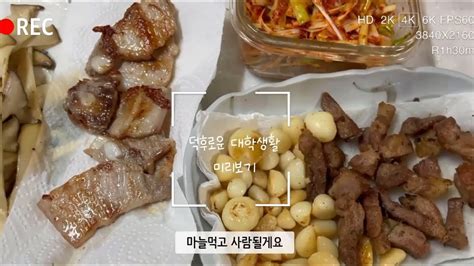 Vlog 14 그만처먹어 그만 처먹으라고 휴학 먹방 브이로그 삼겹살 집밥 빵해장 김치찌개 폭식 아님