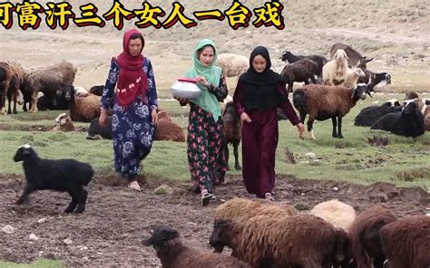 阿富汗游牧男人娶了三个老婆，她们住在帐篷里，一起做羊奶饭 子衿看世界 子衿看世界 哔哩哔哩视频