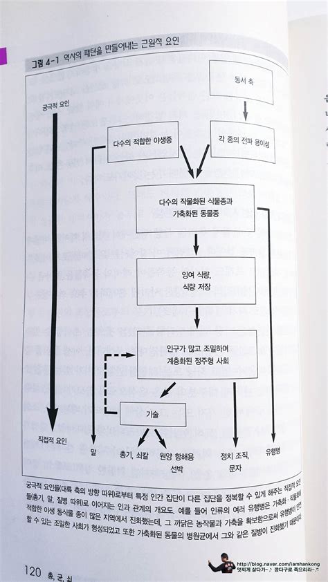 총균쇠 줄거리내용요약독후감 총 균 쇠 제레드 다이아몬드 네이버 블로그
