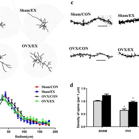 Effects Of Ovx And Aerobic Exercise On Spatial Working Memory In Mice