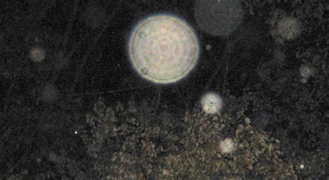Orbes Seres De Luz A Tu Alrededor Misterios Espirituales