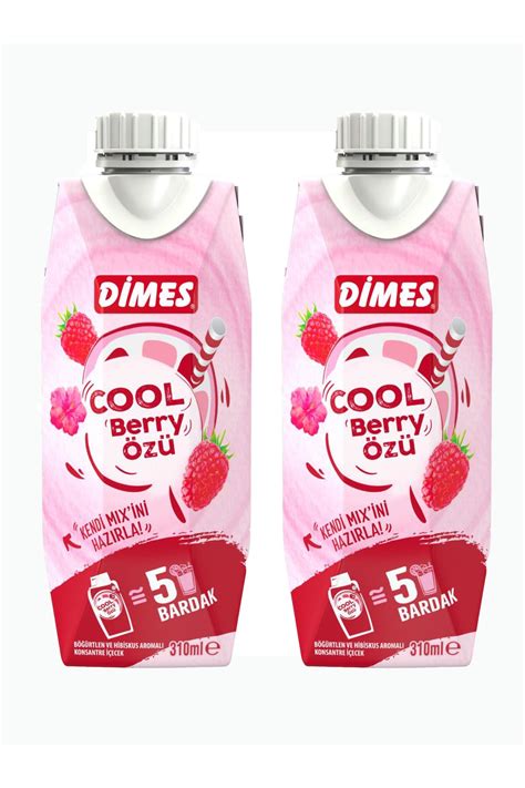 Dimes Cool Berry 310 Ml Meyve Suyu X 2 Adet Fiyatı Yorumları