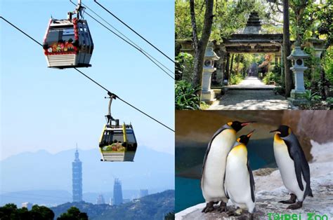 連假一票暢玩動物園貓纜品茶香美食指南宮祈福俯瞰台北盆地 玩咖Playing 自由電子報