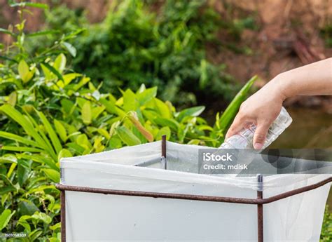 여자는 천연 저수지에서 플라스틱 병을 집어 들고 청소합니다 환경 보호 세계 구하기 재활용 지구 온난화 감소 지구의 날의 개념 클로즈업 흐릿한 배경 가방에 대한 스톡 사진 및