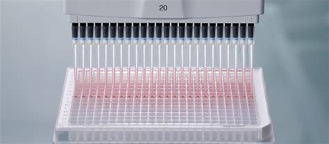 From Cell Seeding To Analysis Getting The Best Out Of Your Cell Based