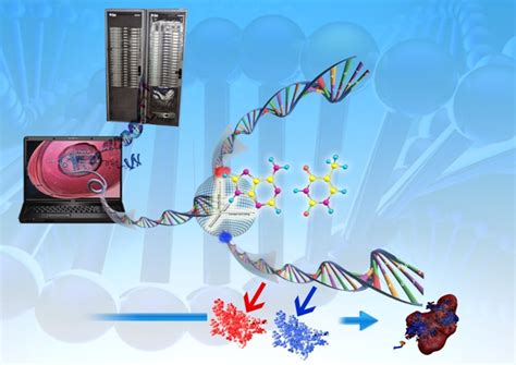 supercomputing facility for bioinformatics and computational biology iit