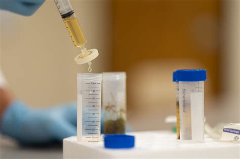 Bacteriophage Discovery And Genomics Courses Idaho State University