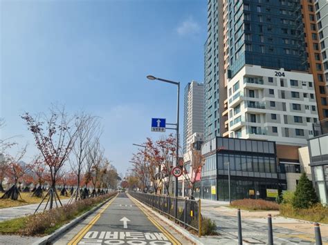 Daum 카페