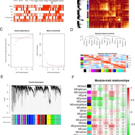 Volcano Plot And Heatmap Of DEGs And RRA Analysis A Volcano Plots Of