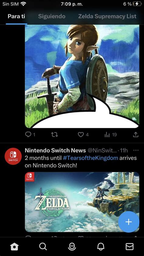 Little Bird Zelda Totk💧 On Twitter 😎