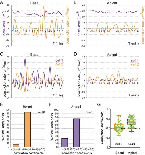 Figures And Data In Analysis Of Cellular Behavior And Cytoskeletal
