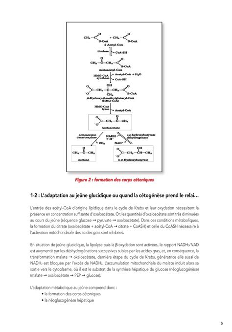 短链和中链脂肪酸与酮症 I E P P 欧洲临床生理营养学会