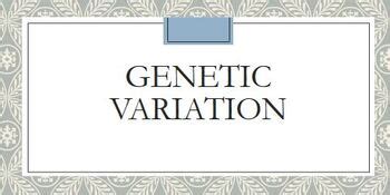 Genetic Variation Powerpoint And Cloze Notes By Aimee Sueltenfuss