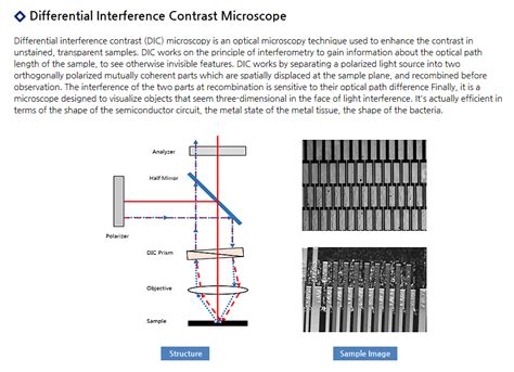 Dic Microscope