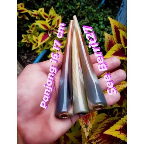 Jual Once Pipa Pipo Bulat Tanduk Kerbau Shopee Indonesia