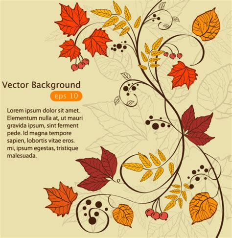 Download Vector Of Maple Leaf Vectors Free Download New Collection