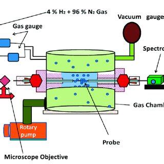 A Schematic View Of Experimental Gas Sensing System For Designing Download Scientific Diagram