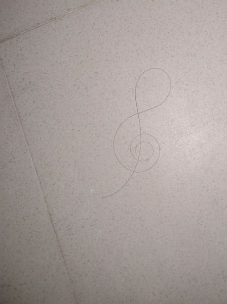 Hair On Bathroom Floor Flooring Guide By Cinvex