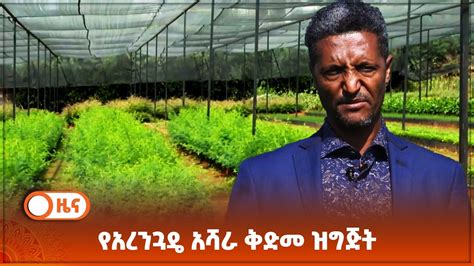 የአረንጓዴ አሻራ ቅድመ ዝግጅት Youtube