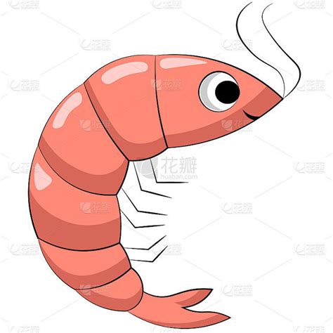 可爱的卡通小虾。彩色插图
