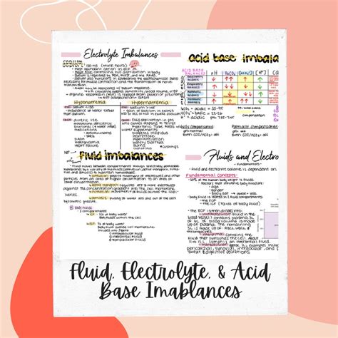 Fluid Electrolytes And Acid Base Imbalances Nursing Notes Etsy
