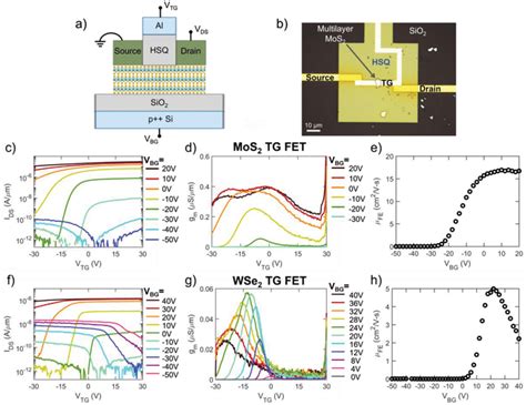 Dual‐gated Mos2 And Wse2 Fet Characteristics A Schematic And B Download Scientific Diagram