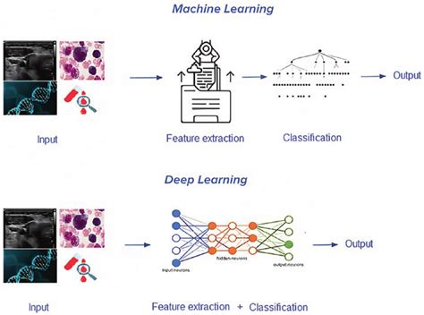 Difference Between ML And DL In Contrast To ML DL Does Not Need To Download Scientific