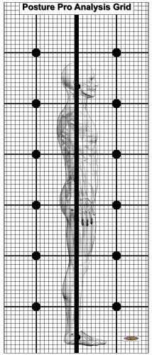 Compare Price To Postural Analysis Chart Tragerlaw Biz