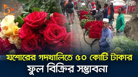 যশোরের গদখালিতে ৫০ কোটি টাকার ফুল বিক্রির সম্ভাবনা Jessore Flowers Nagorik Tv Youtube
