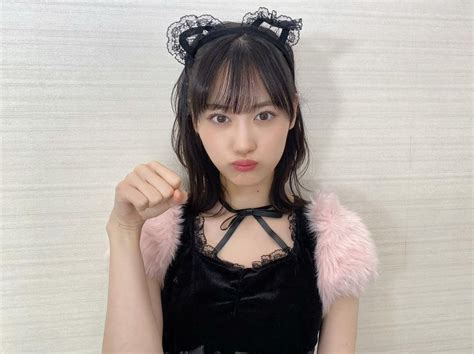 わぁ！？ On Twitter こんなかわいい猫ちゃんを2日連続で見れるなんて😭 Newfaxigw0