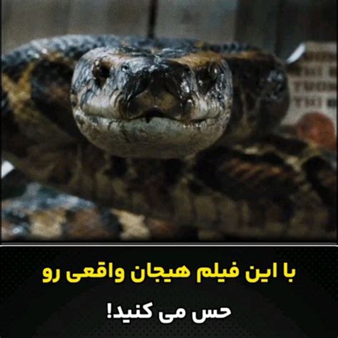 👇 Movie Anaconda 2024 فیلم آناکوندا 2024 ژانر هیجانی ، ماجراجویی