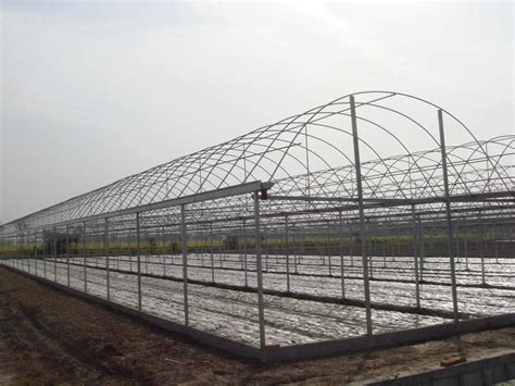 Polynet House Evergreen Acres