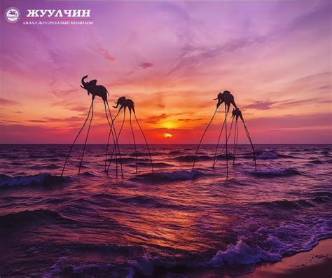 Жуулчин Жуулчин компани Аялахад алс хязгаар үгүй