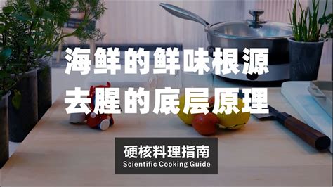 硬核烹饪指南01期 从海鲜开始：鱼的鲜味和腥味，及去腥的科学方法。 Youtube