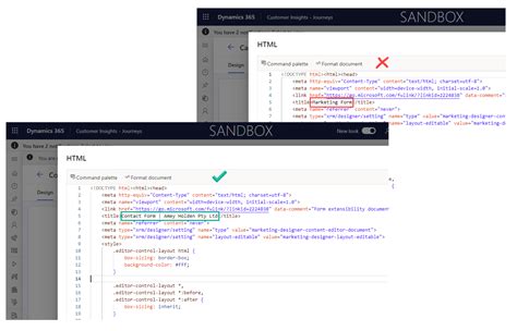 Customise And Style Marketing Forms In Customer Insights Journeys — Amey Holden Anything But