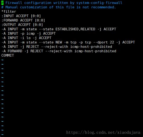 Linux 中部署项目 使用nat模式连接 访问项目部署在linux别的电脑能访问项目吗 Csdn博客