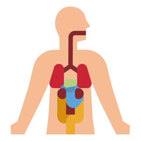 Digestion Free Healthcare And Medical Icons