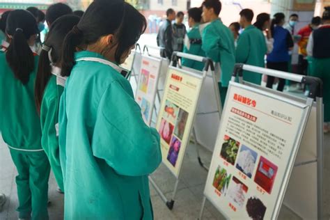 美好青春莫染毒南华西街禁毒宣传教育进校园