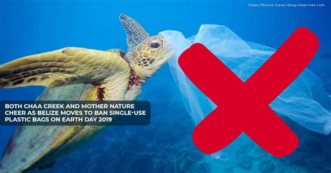Both Chaa Creek And Mother Nature Cheer As Belize Moves To Ban Single Use