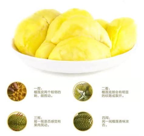 越南干尧榴莲 知乎