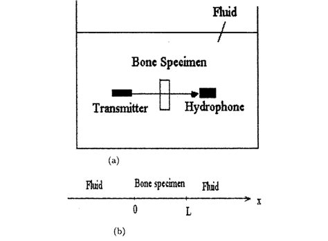 Ultrasonic Propagation Modeling A Experiment Arrangement B Download Scientific Diagram