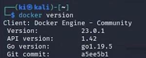 How To Install Docker In Kali Linux GeeksforGeeks
