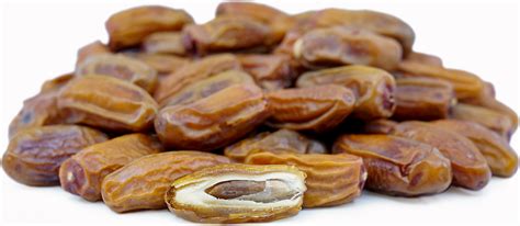 Deglet Noor Dates Information Recipes And Facts