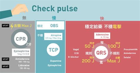 Cwwang Md 王姿文 Acls 高級心臟救命術 Megacode 簡單流程